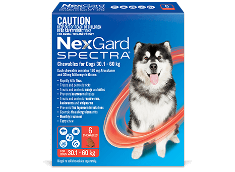 NexGard SPECTRA® | NexGard® Range Official Website