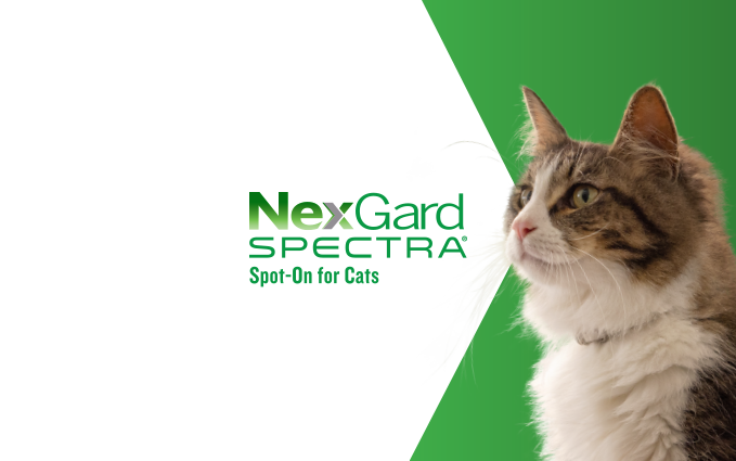 NexGard Product Labels | NexGard® Range