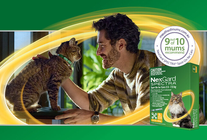 NexGard SPECTRA® Spot-On for Cats | Flea, Tick, Mite, Worm Protection